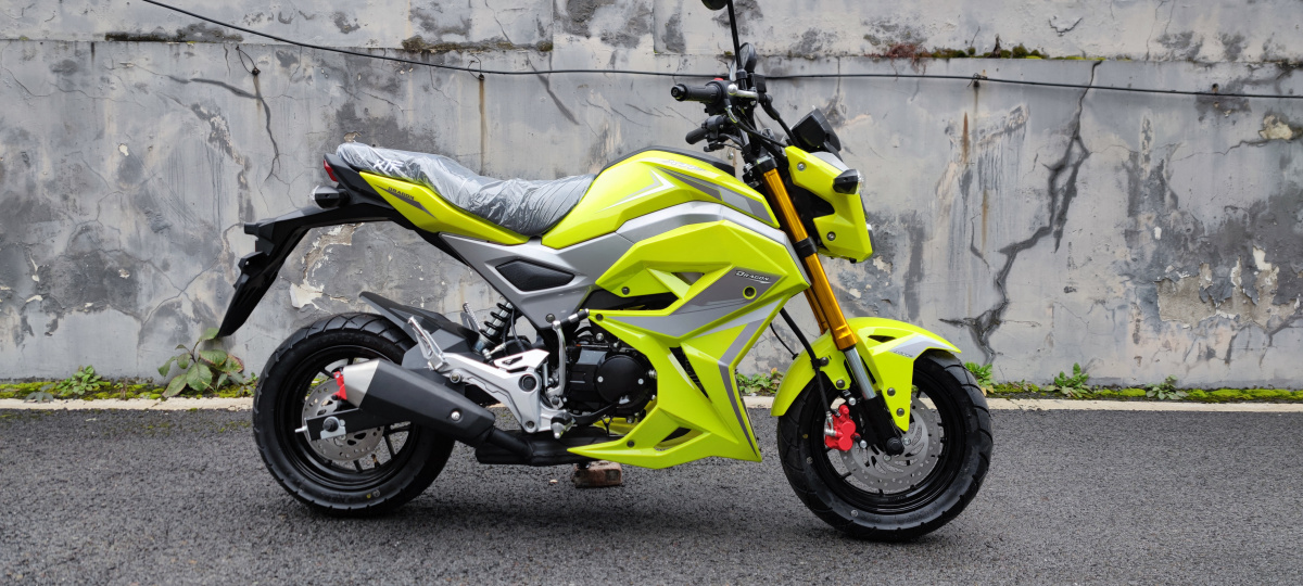 Мотоцикл PROMAX STRYKER 200(49) OFF-ROAD 2.0 купить по низкой цене от ...